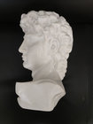 Custom David Sculpture 3D Printing Rapid Prototyping Service With Fast Delivery And Competitive Price