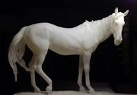 Custom elegant horse  statues From China Status Factory